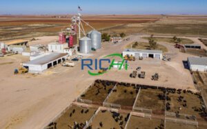 Feed Processing Machinery - RICHI MACHINERY
