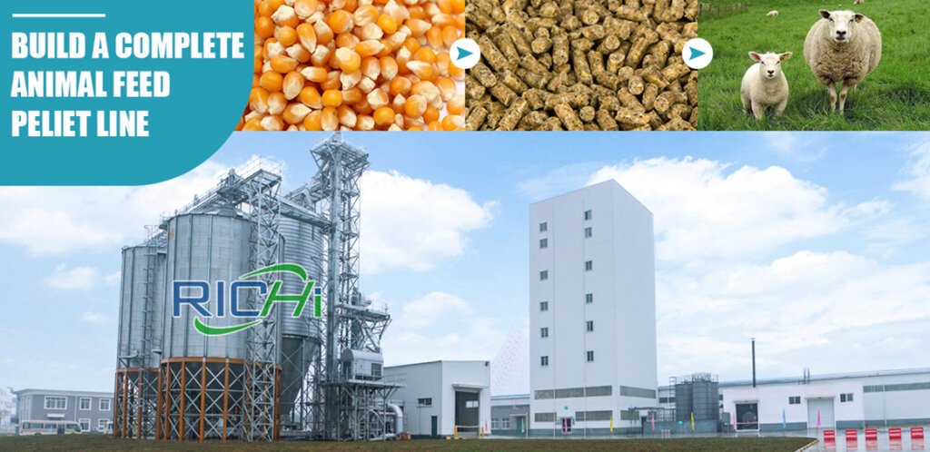 Animal Feed Mill Equipment For Sale - 1-2TPH