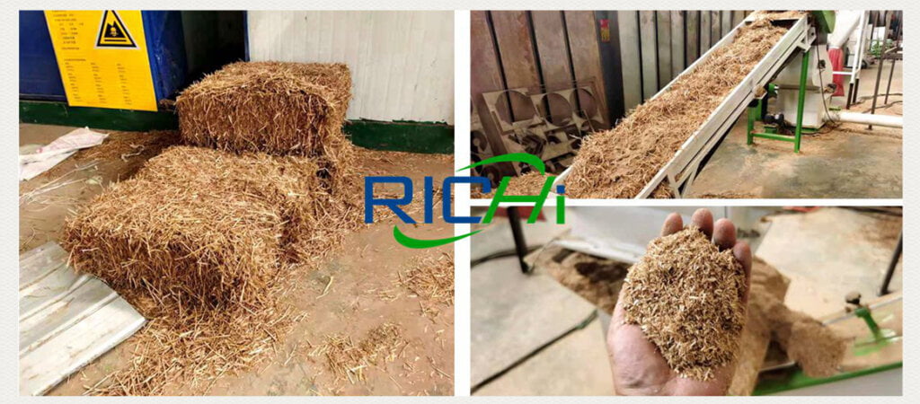 Wood Pellet Plant For Sale - 1-100TPH Customizable Design