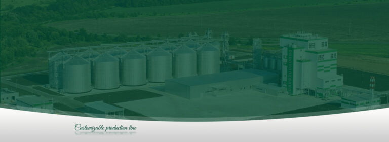 Poultry Feed Manufacturing Plant - RICHI MACHINERY