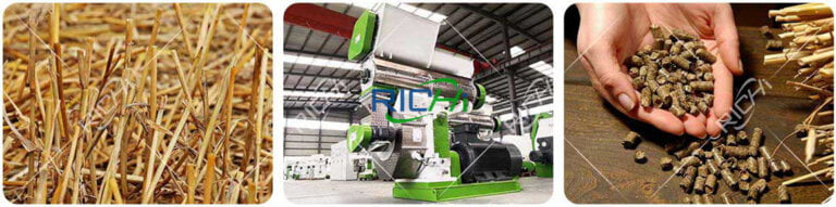 Straw Pellet Plant - 0.5-40TPH Customizable For You
