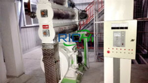 Chicken Feed Manufacturing Plant - 1-100TPH Customized Design