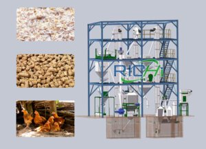Feed Processing Machinery - RICHI MACHINERY
