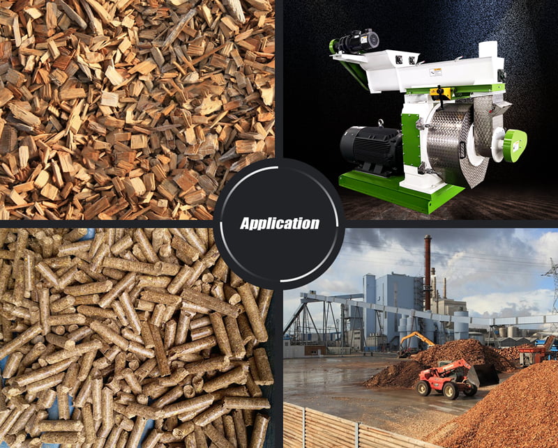 Biomass Pellet Plant - RICHI MACHINERY