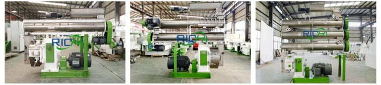 Shrimp Feed Pellet Machine - RICHI MACHINERY